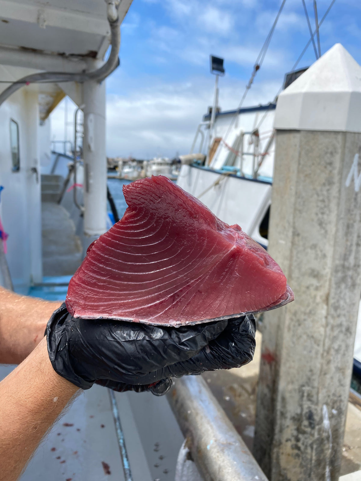 Haworth Fish | Fresh Caught Fish | Delivered To San Diego Locals ...