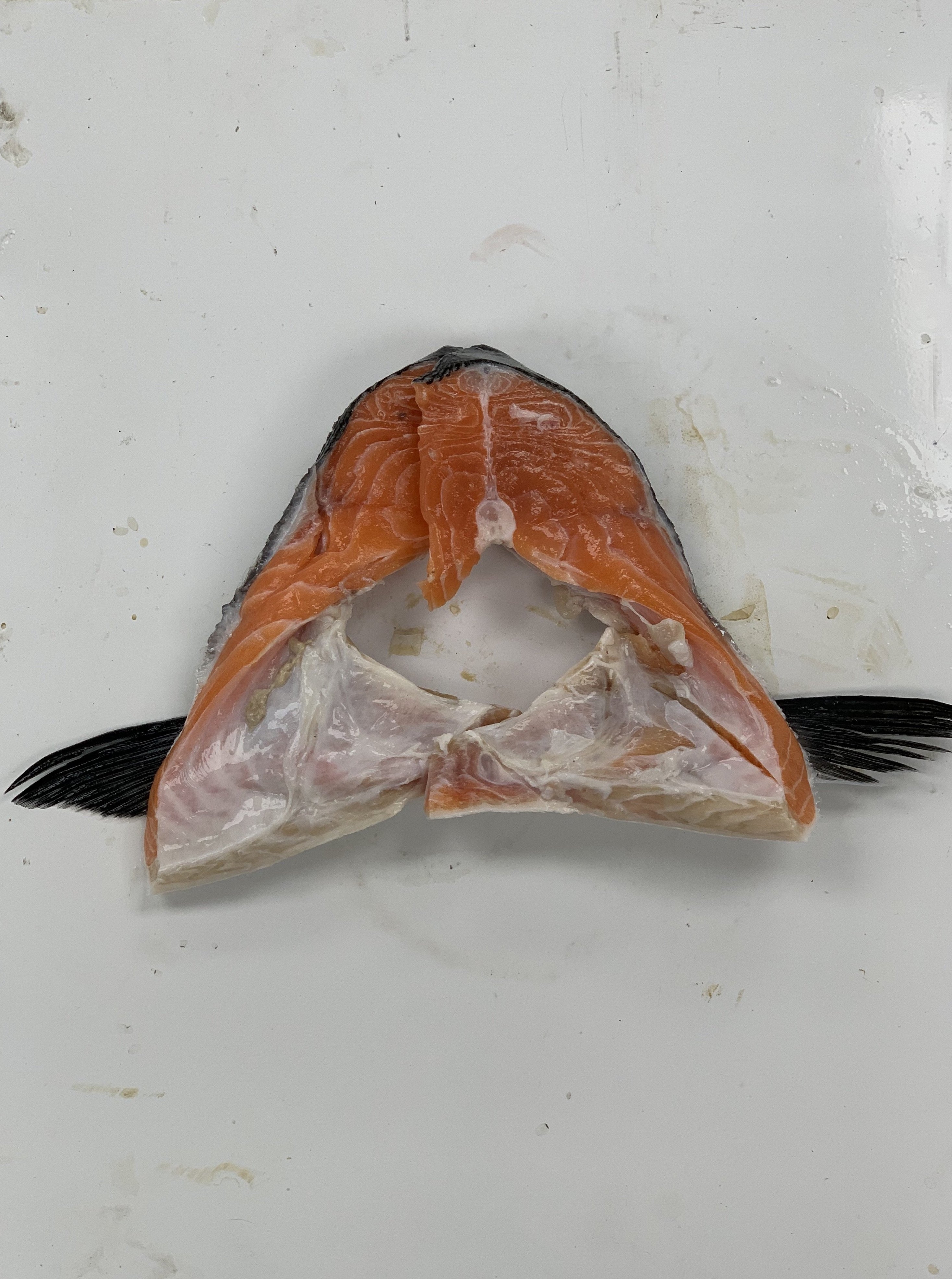 California King Salmon Collar & Head – Haworth Fish Co