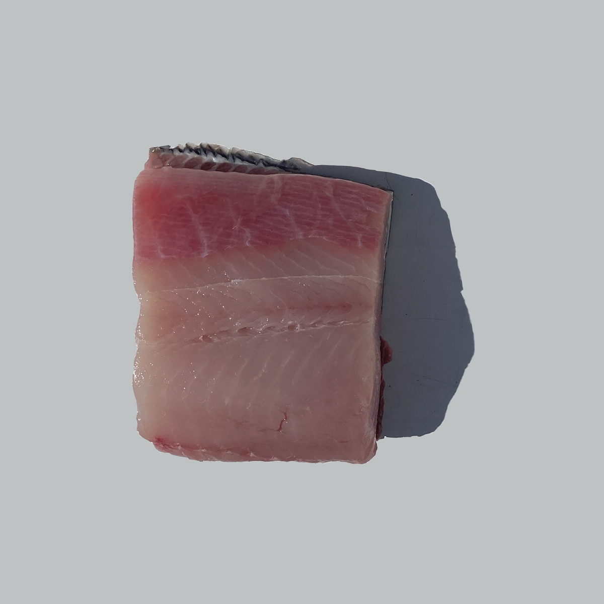 1lb Monchong – Haworth Fish Co