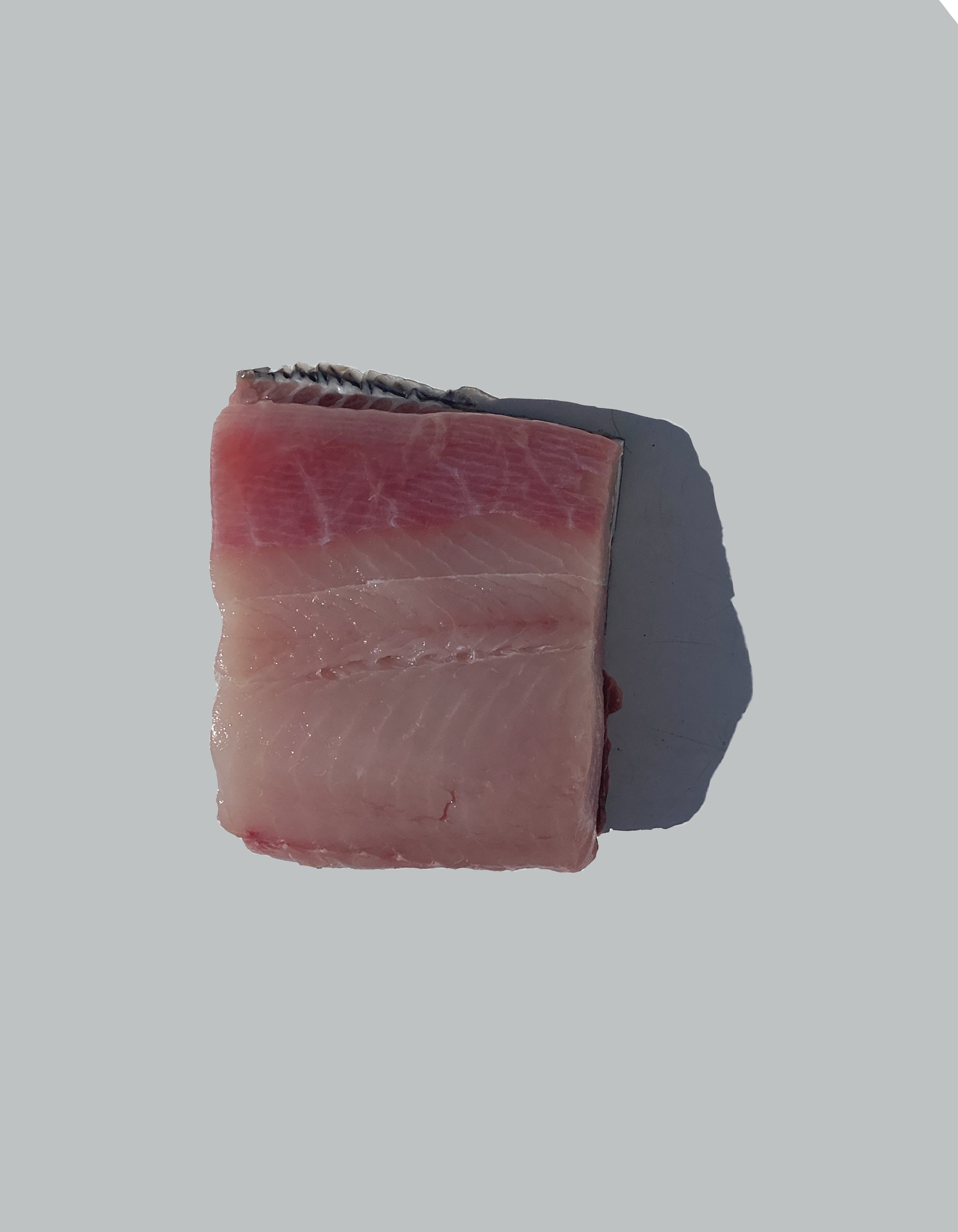 Haworth Fish | Fresh Caught Fish | Delivered To San Diego Locals ...
