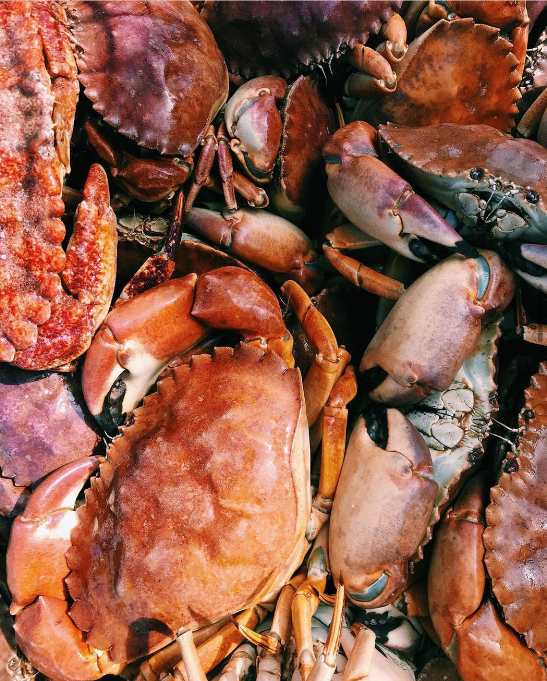 Products – Haworth Fish Co