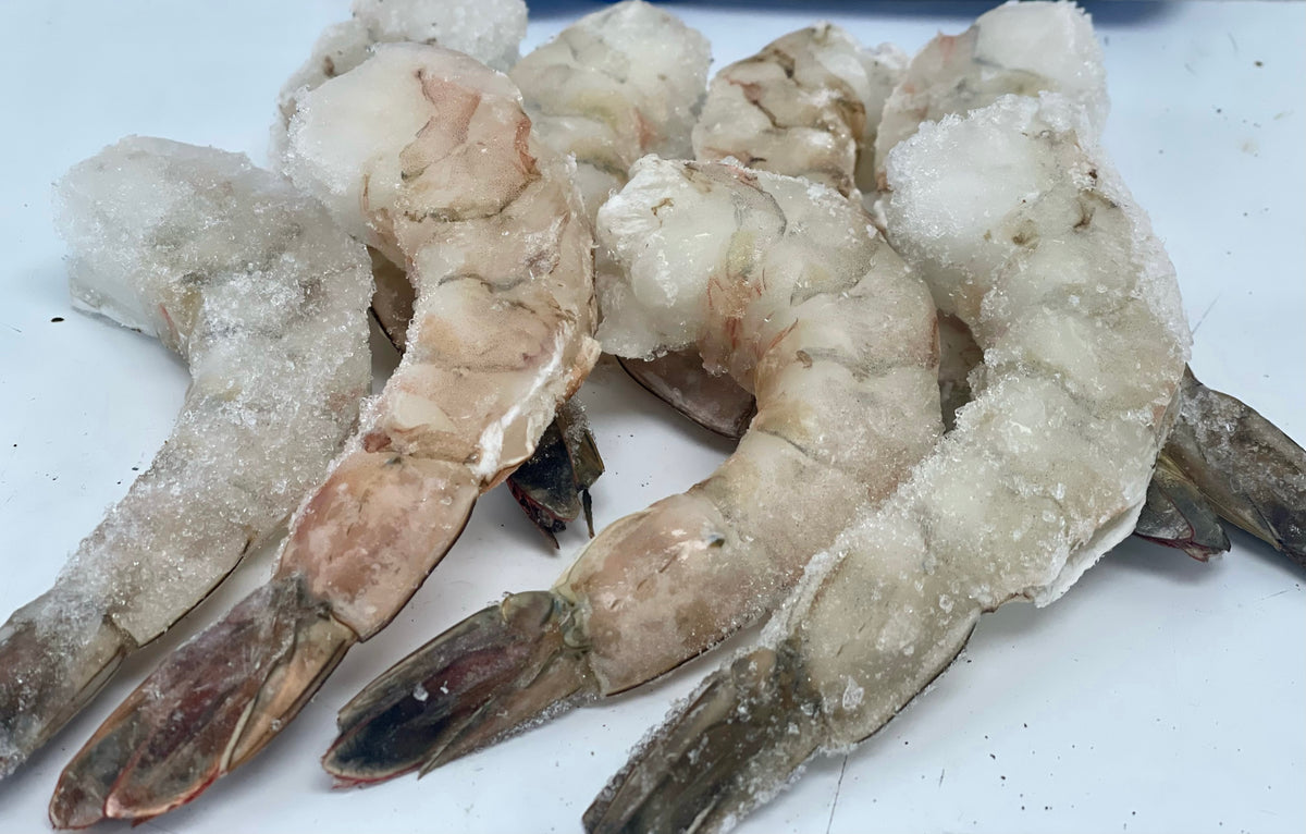 2lb Frozen Shrimp – Haworth Fish Co